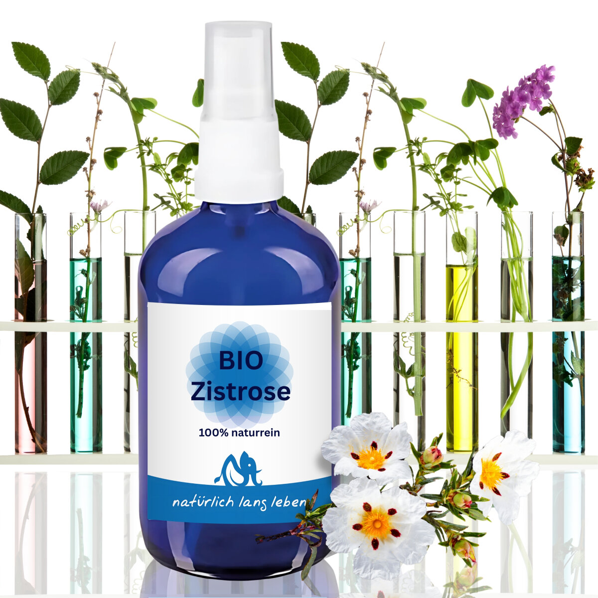 BIO Zistrose Hydrolat | 100 ml | natürlich lang leben, 17,00
